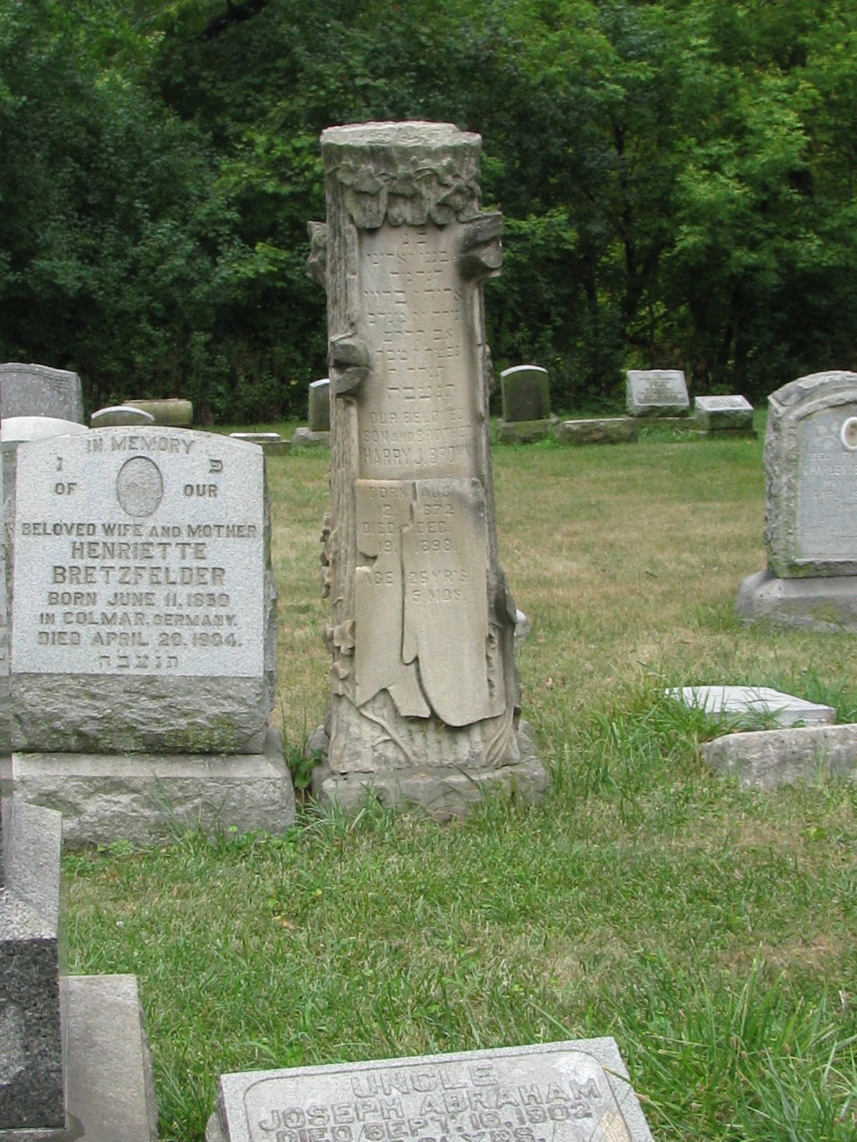 A Grave Interest: Those Amazing Tree Stones