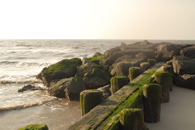 Margaret Montet: This is what low tide looks like in winter