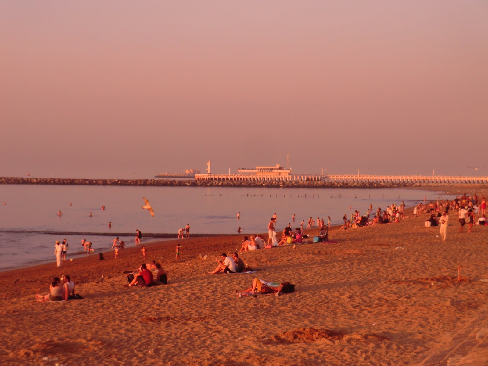 The World of Nickolândia: Belgium has Beaches?