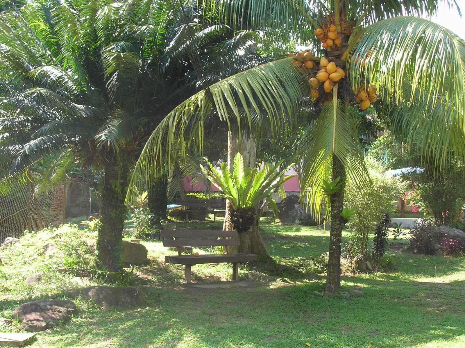 DAMAI PARK RESORT,MERBOK KEDAH,MALAYSIA