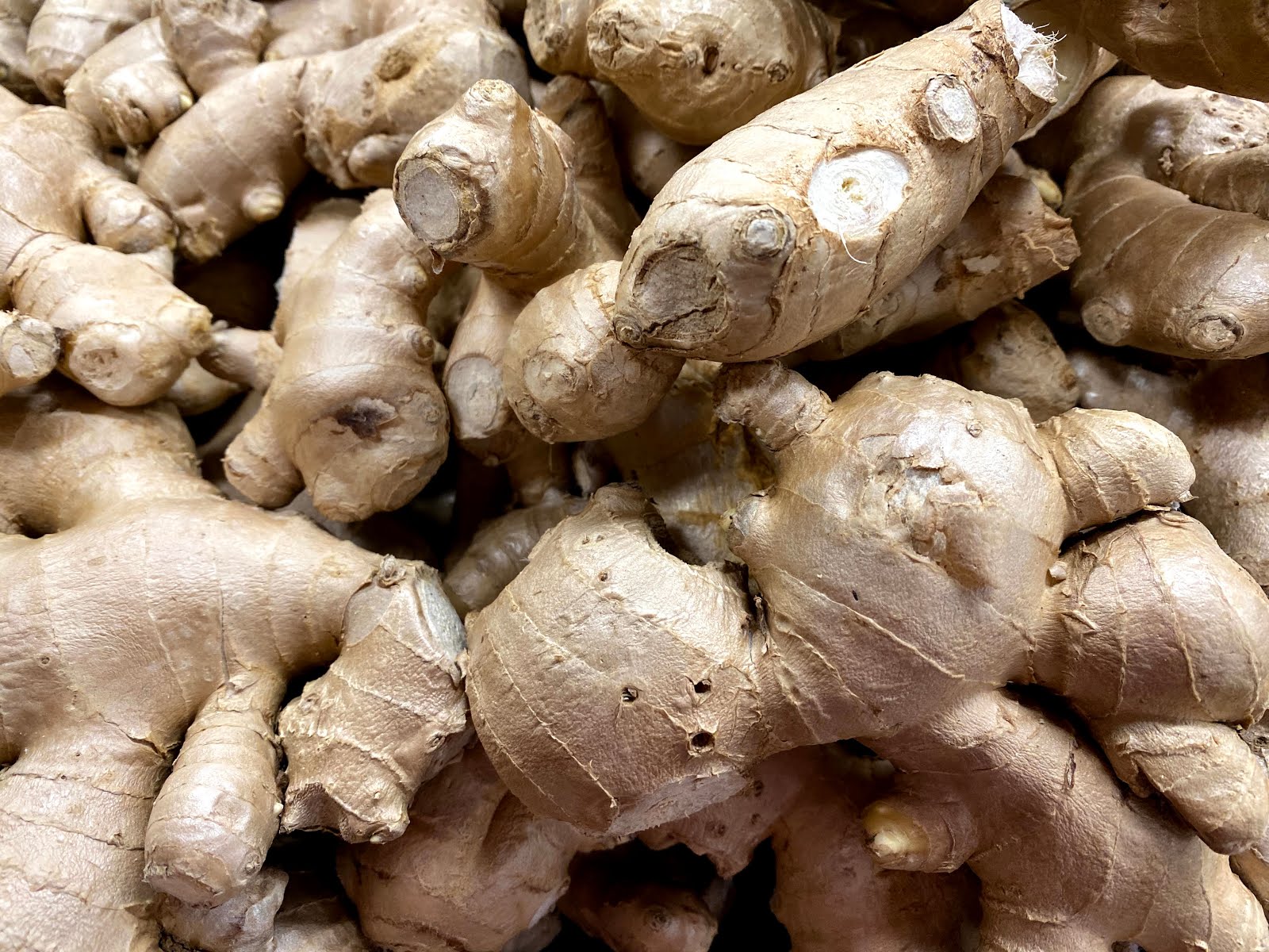 Walking Arizona: Ginger Root