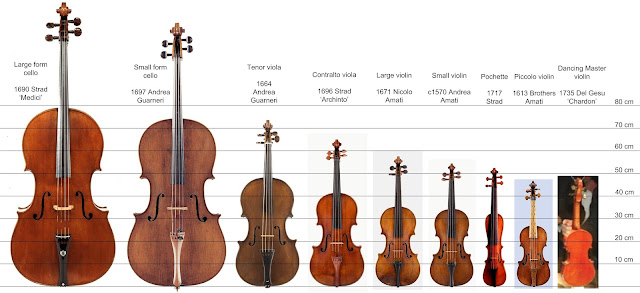 David Of Santa Barbara Violin Maker David Beard A Range Of Sizes david-of-santa-barbara-violin-maker-david-beard-a-range-of-sizes