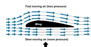 HOW AIRPLANES FLY. THE BERNOULLI PRINCIPLE by Fredric M. Menger, Emory ...
