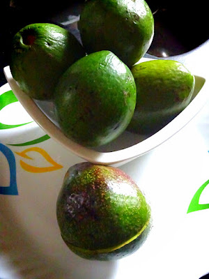 Veg Indian Cooking: Avocado Paratha