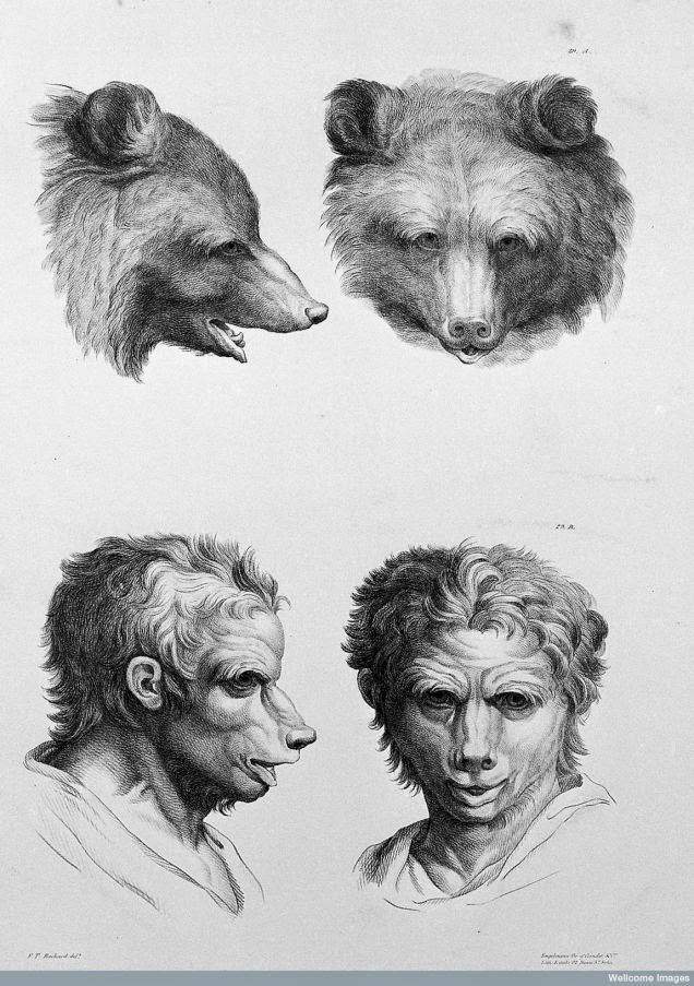 As Fisionomias Animais dos Humanos Na Visão de Charles Le Brun | cúlti ...