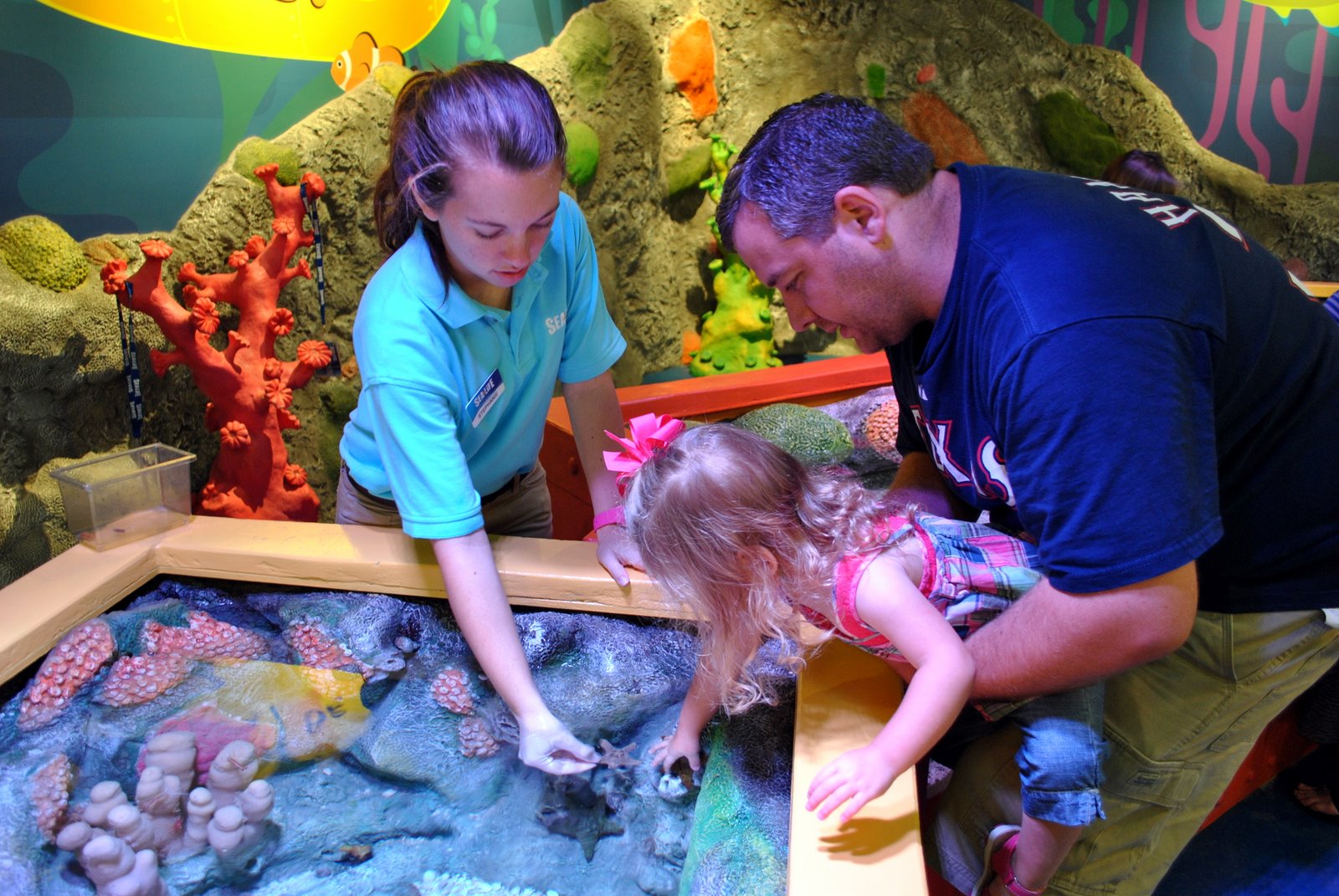 the rogers family life as 3 ...: Sea Life Aquarium