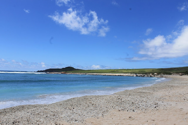 Biodiversidad de "El Bajío Profundo": ISLA CLARIÓN, ARCHIPIELAGO DE ...