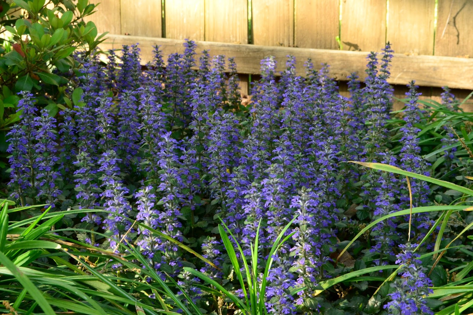 An Archivist's Miscellania: Flowers for Good Friday