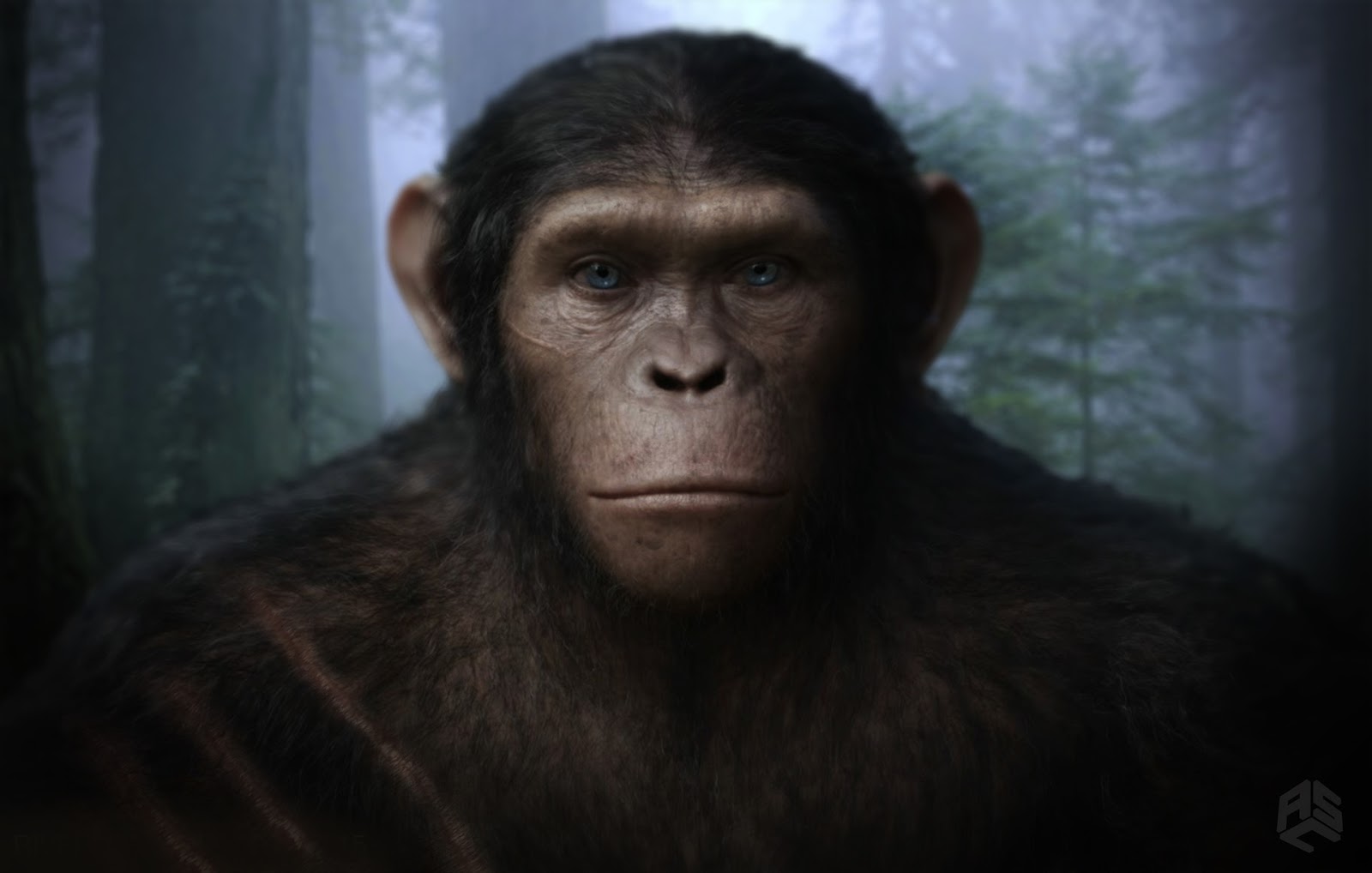 Archives Of The Apes: War For The Planet Of The Apes (2017) Concept Art