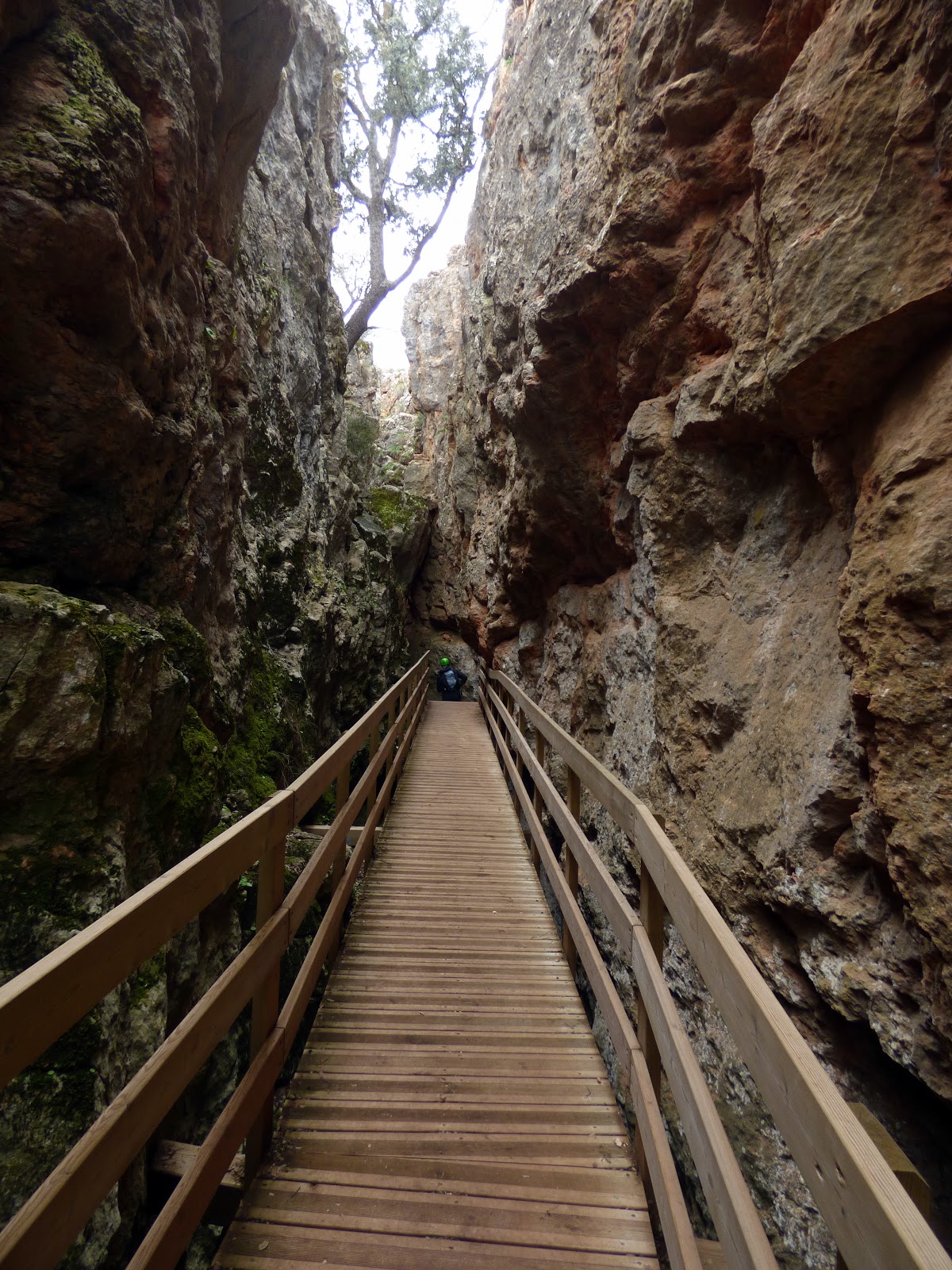 Anda con Tiocanya SenderismoAnda con Tiocanya: La Quebrada del Toro