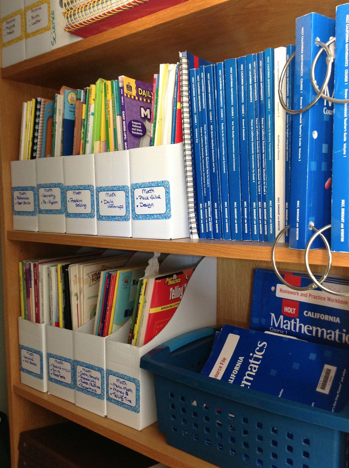 Organizational Progress | Essentially Elementary