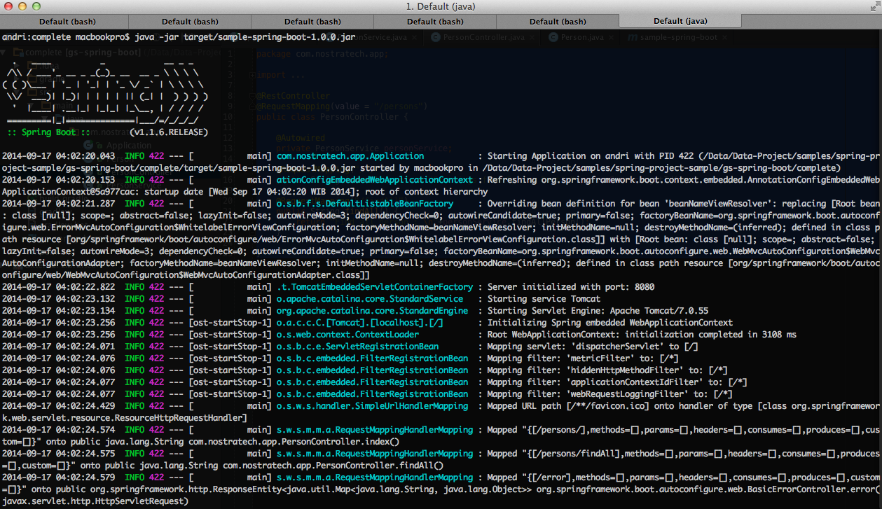 Nostra Technology Spring Boot