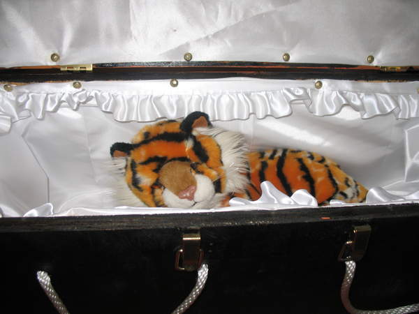 Beyond the South End: Rockland Tiger Memorial