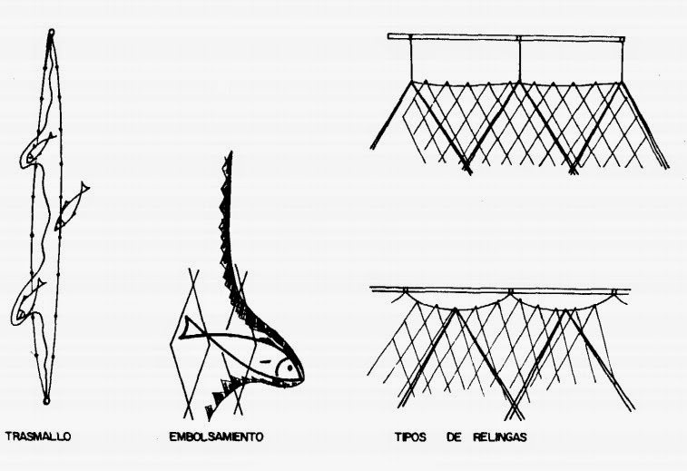 Opiniones de trasmallo