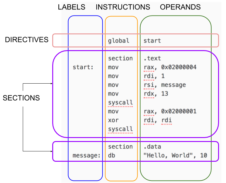 On A Trip Nasm Tutorial Program Structure P1