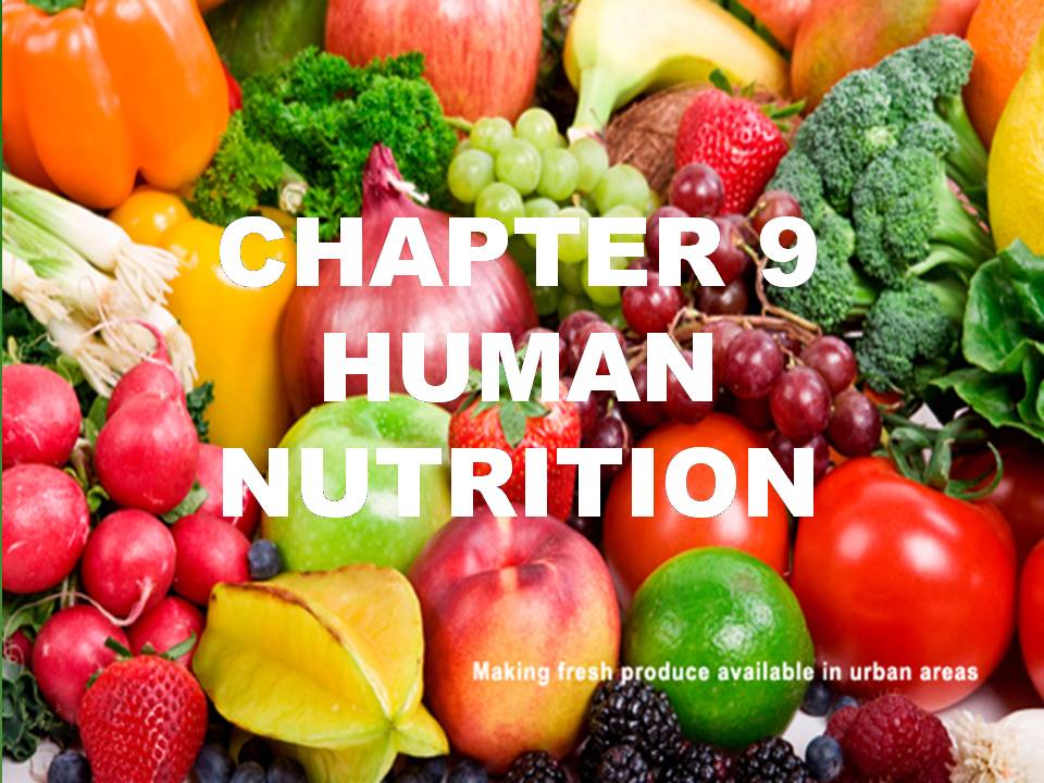Grade 9: Sem 2 Chapter 8 Human Nutrition