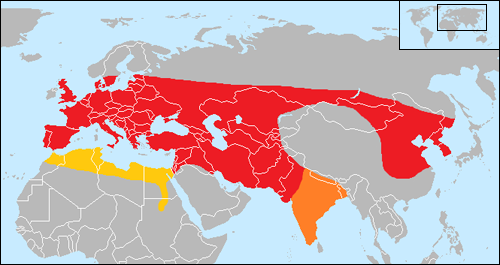 La Escalera de Iakob: El uro