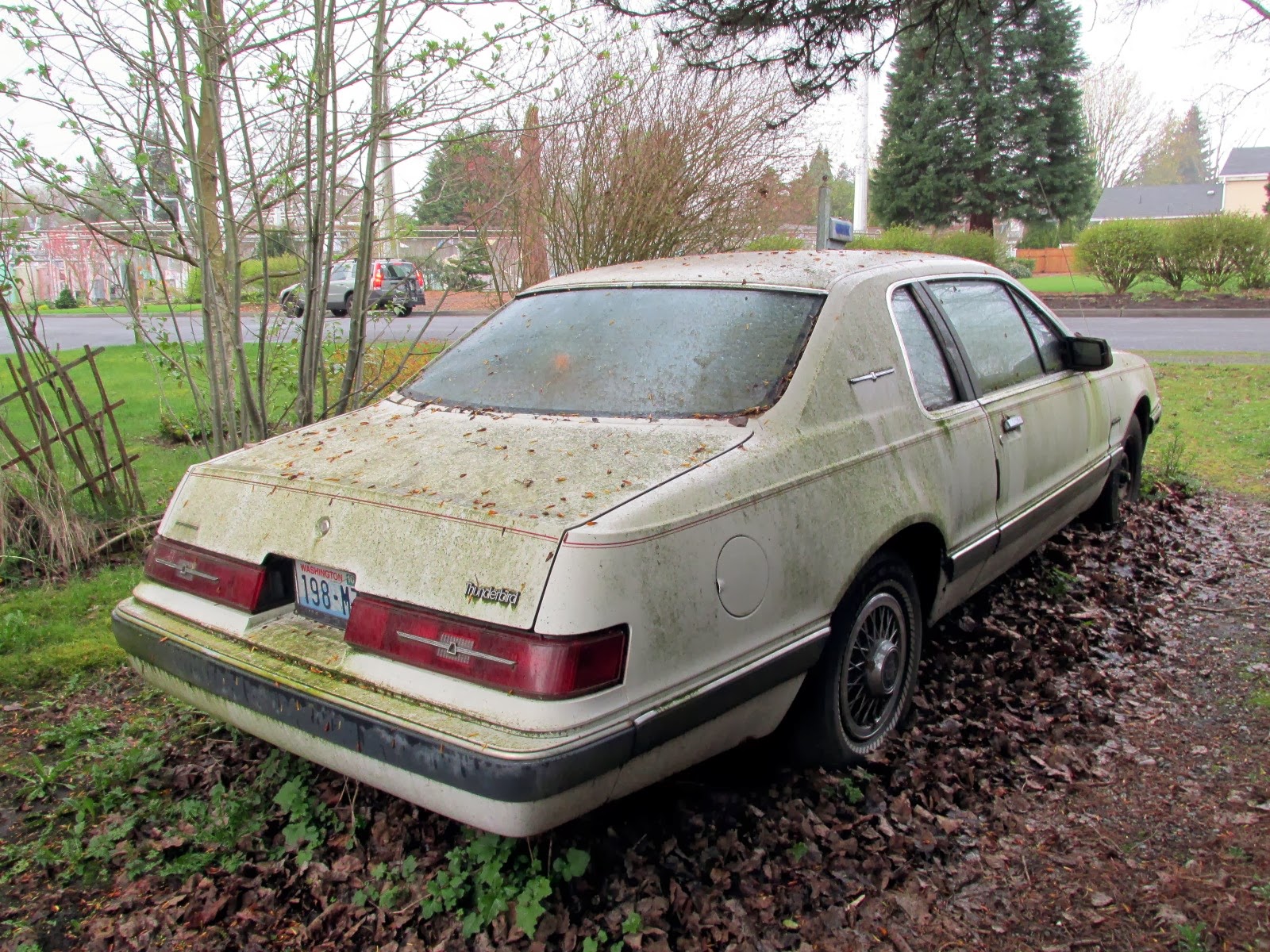 Seattle's Classics: 1984 Ford Thunderbird Coupe
