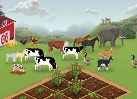 Barn Buddy Guru: Barn Buddy Photography Tips