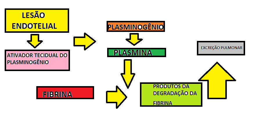 VetLife: COAGULAÇÃO SANGUÍNEA