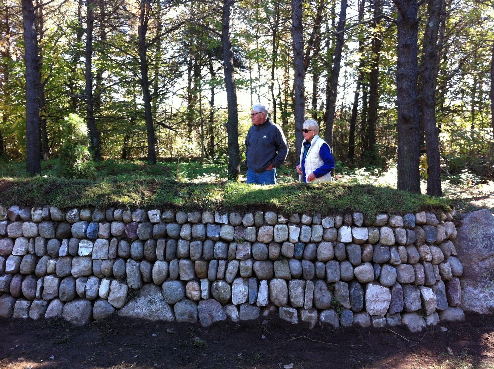 Thinking With My Hands: Clawdds over North America