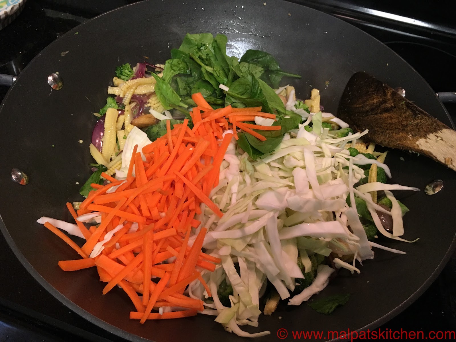 BURNT GARLIC VEG FRIED RICE ~ Malpats Kitchen