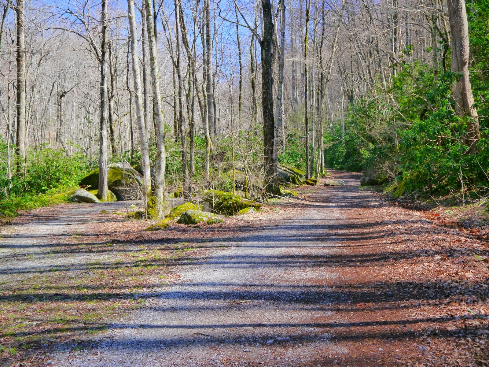 American Travel Journal: Little River Trail - Great Smoky Mountains ...