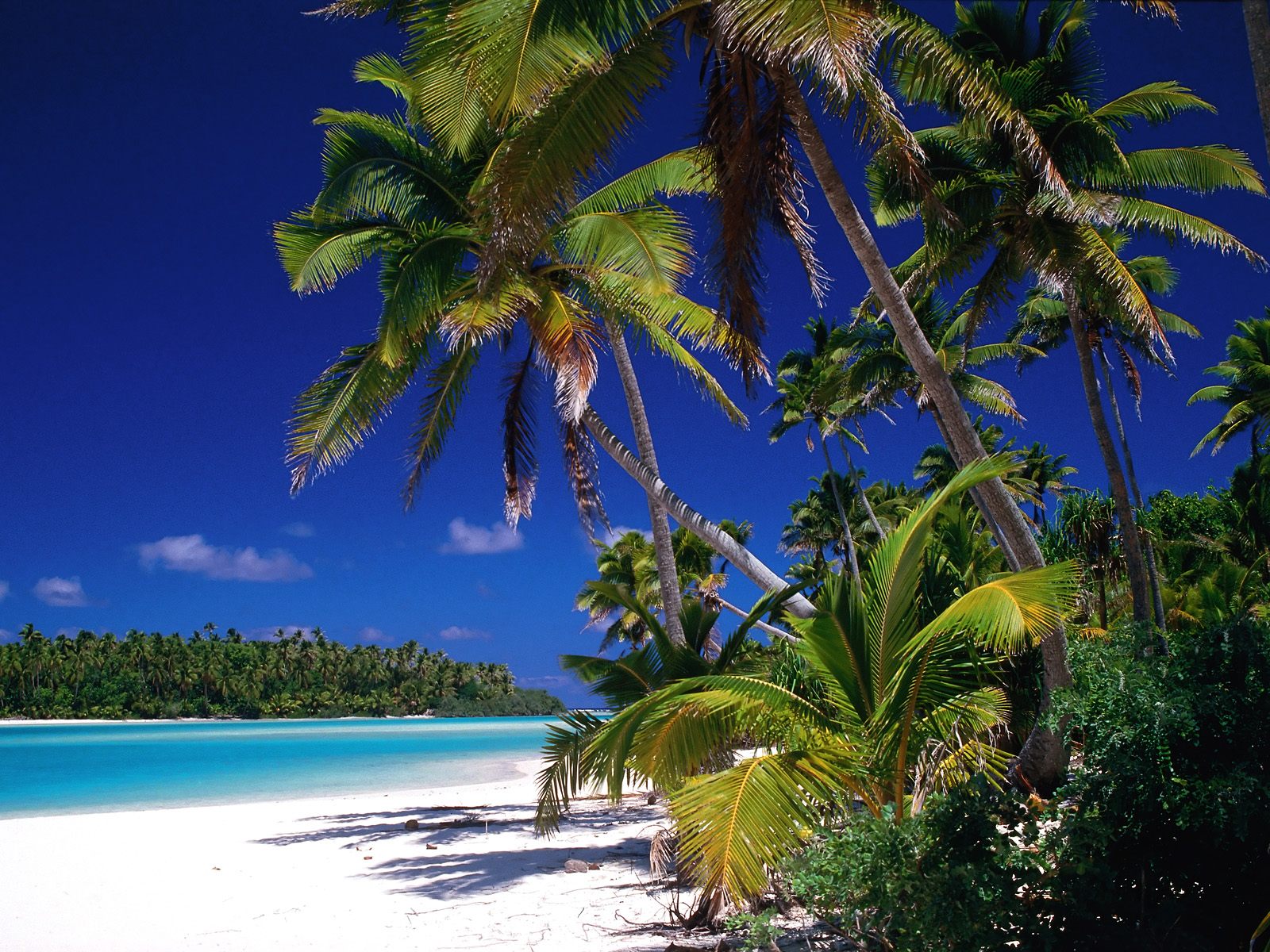Cook Island - Tourist Attractions - Exotic Travel Destination