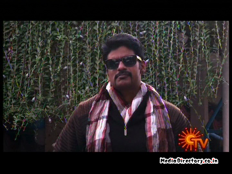 SOAPS(Serials) SNAP SHOTS: BOMMALATTAM Tamil SOAP (SERIAL)