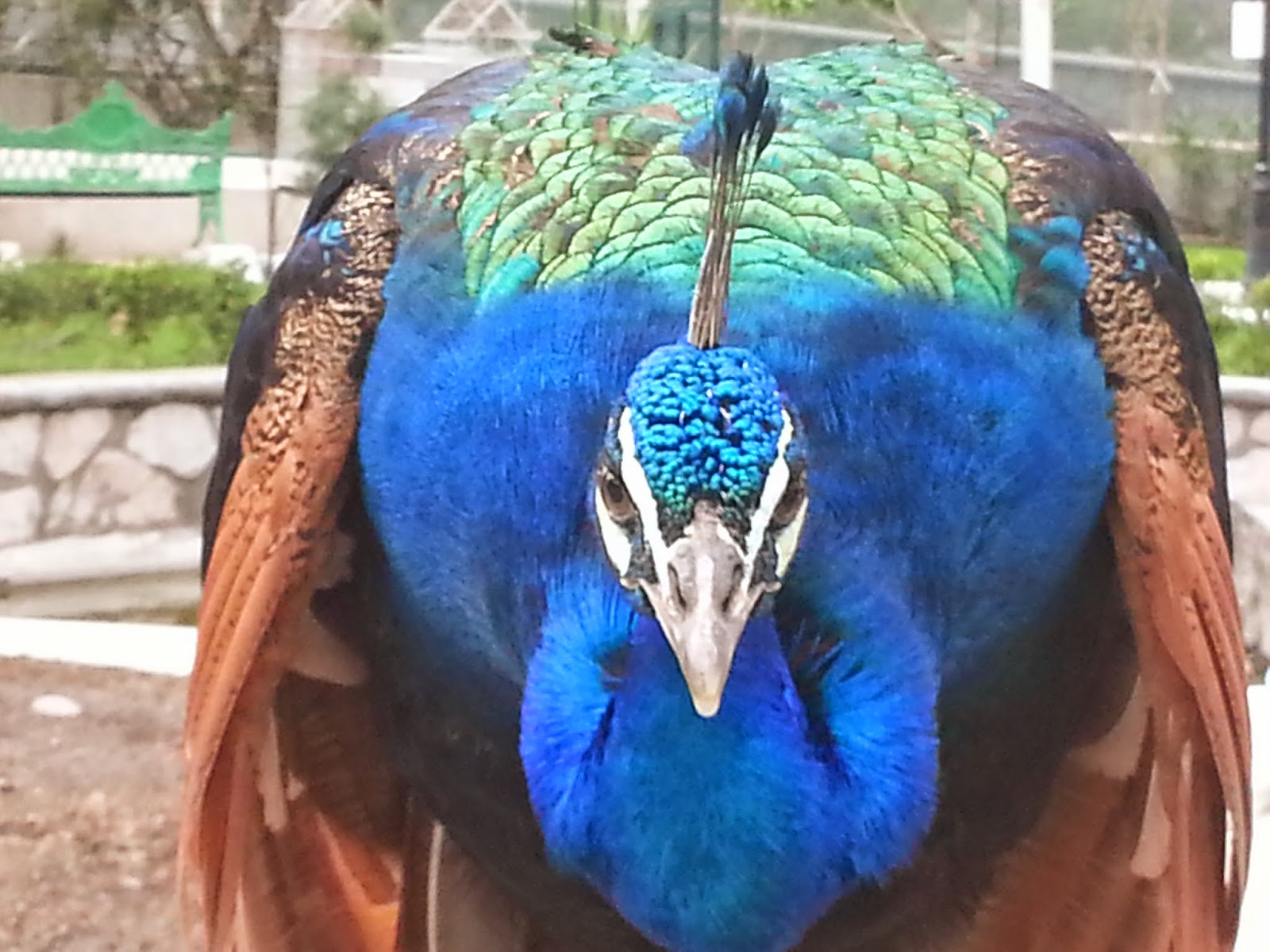 Parque Ecológico Ehecatl - DFMente