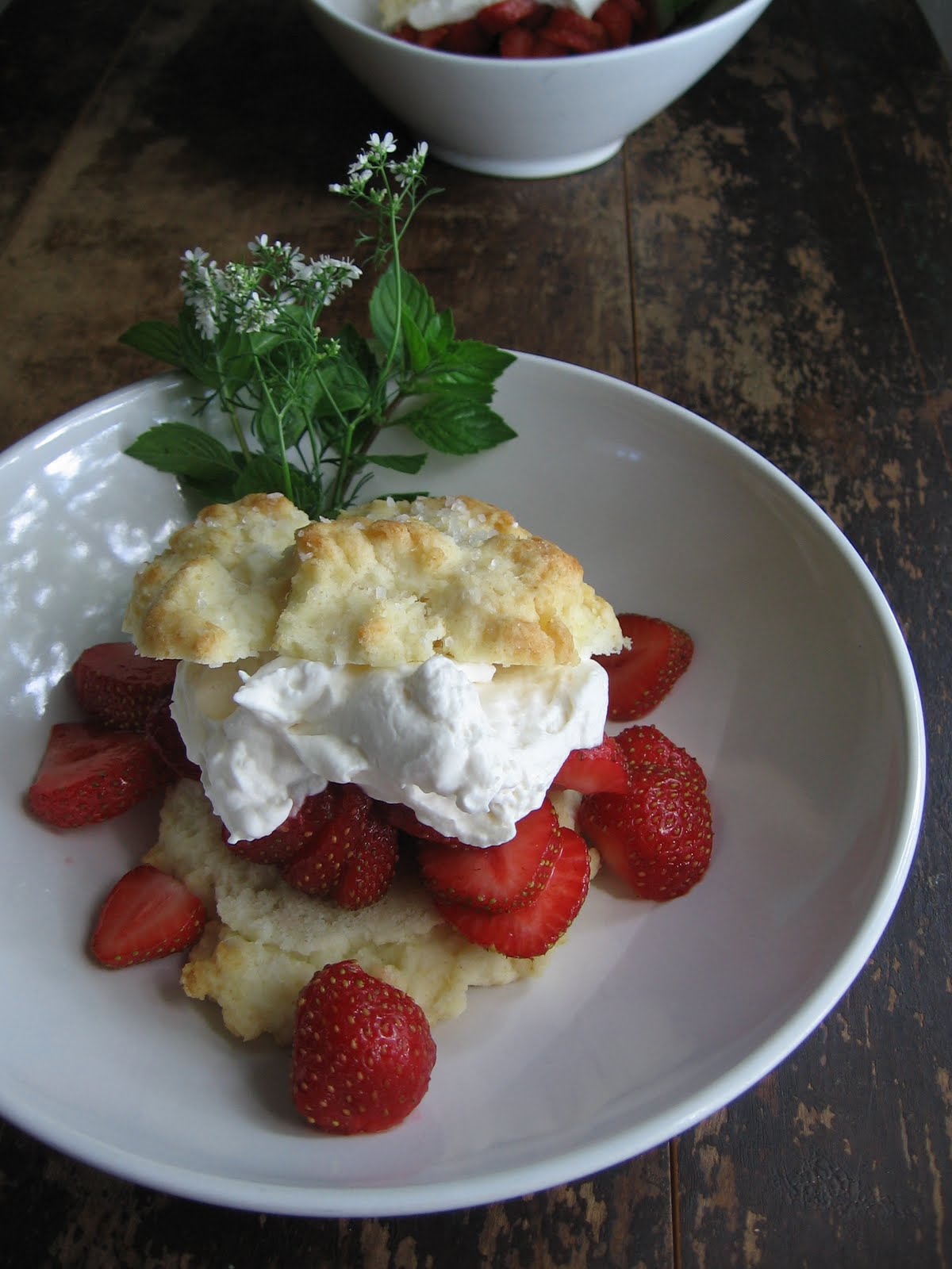 sweetsugarbean: Strawberry Shortcake and Foxy Ladies
