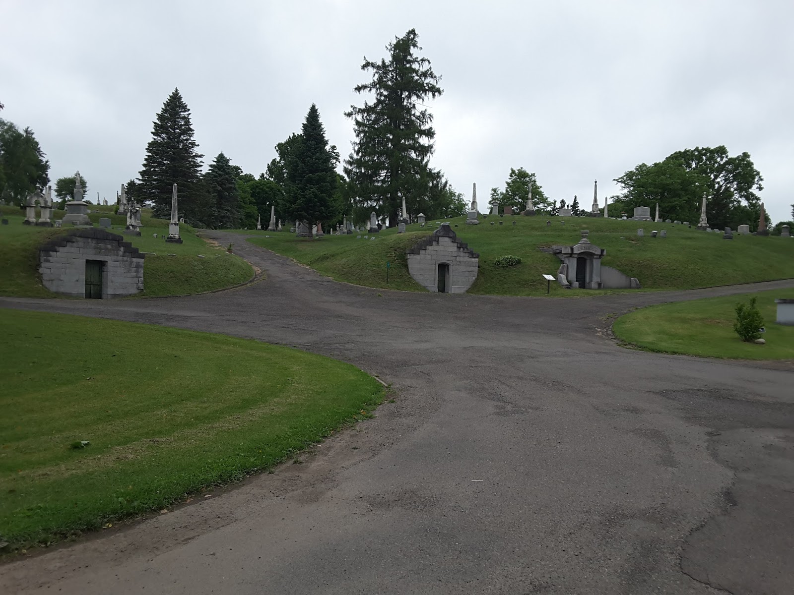 The Science Notebook : Cemetery Series: Death and the Environment