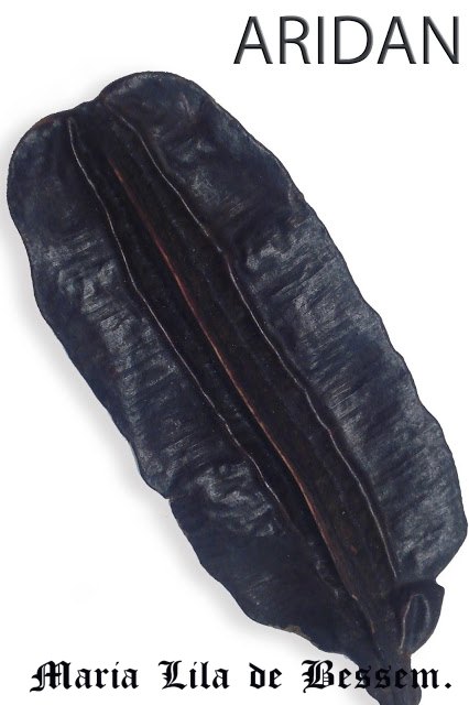 PLANTAS DE TODAS AS ESPECIES: Aridan