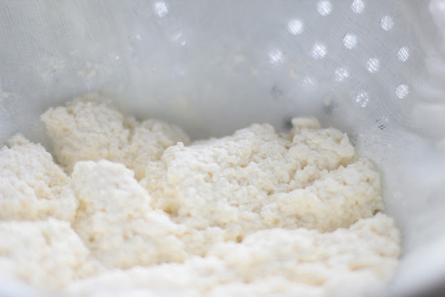 bake your slovak roots / slovenské korene: Curd Cheese / Tvaroh