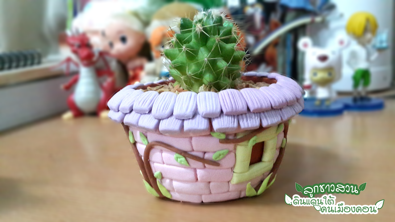 ลูกชาวสวน Diy กระถางต้นไม้สวยๆ