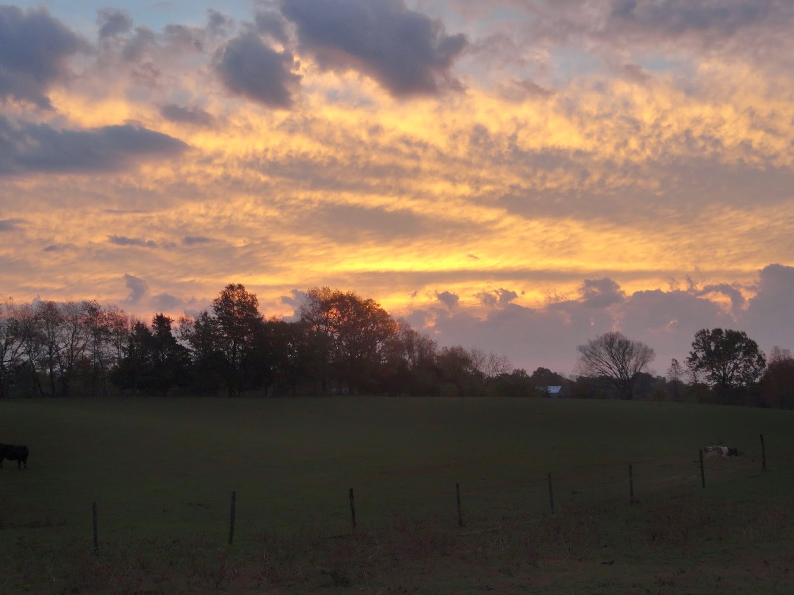 BarnScoop: The Beauty of an Autumn Sunrise in Kentucky