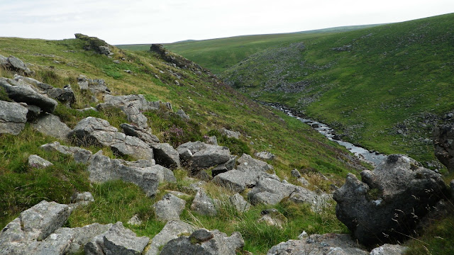 My Dartmoor Walks: Wednesday 7th August Hare Tor
