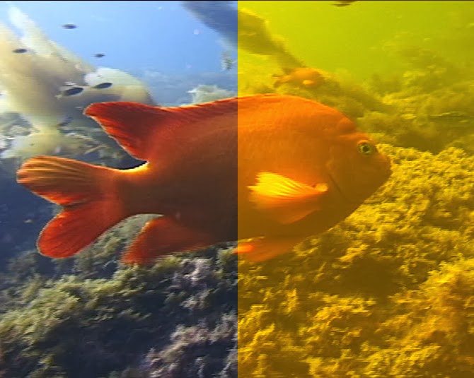 Unit 21- understanding video: White balance & Colour temperature