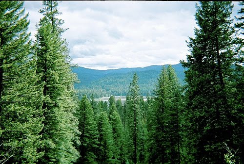 mentinfusion: Forests, mets, kagubatan, forêt,wald, codru ( Part 5 )