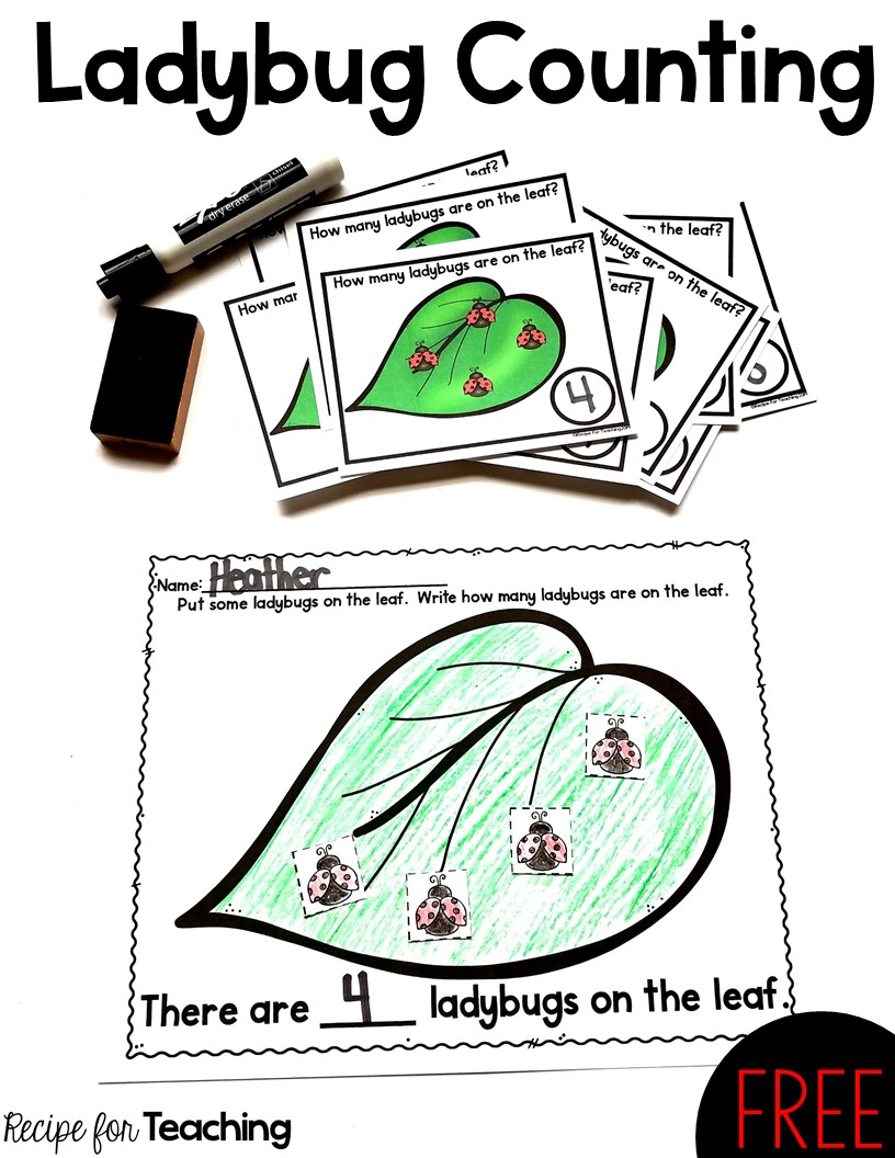 Ladybug Counting - Recipe for Teaching