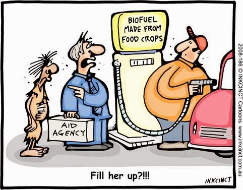 From the Field to your Plate: Biofuels (Part 2) - Exploring Innovations ...