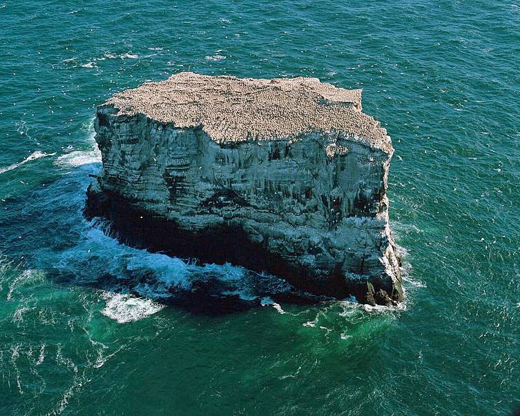 La isla Eldey, un paraíso en Islandia en directo por webcam