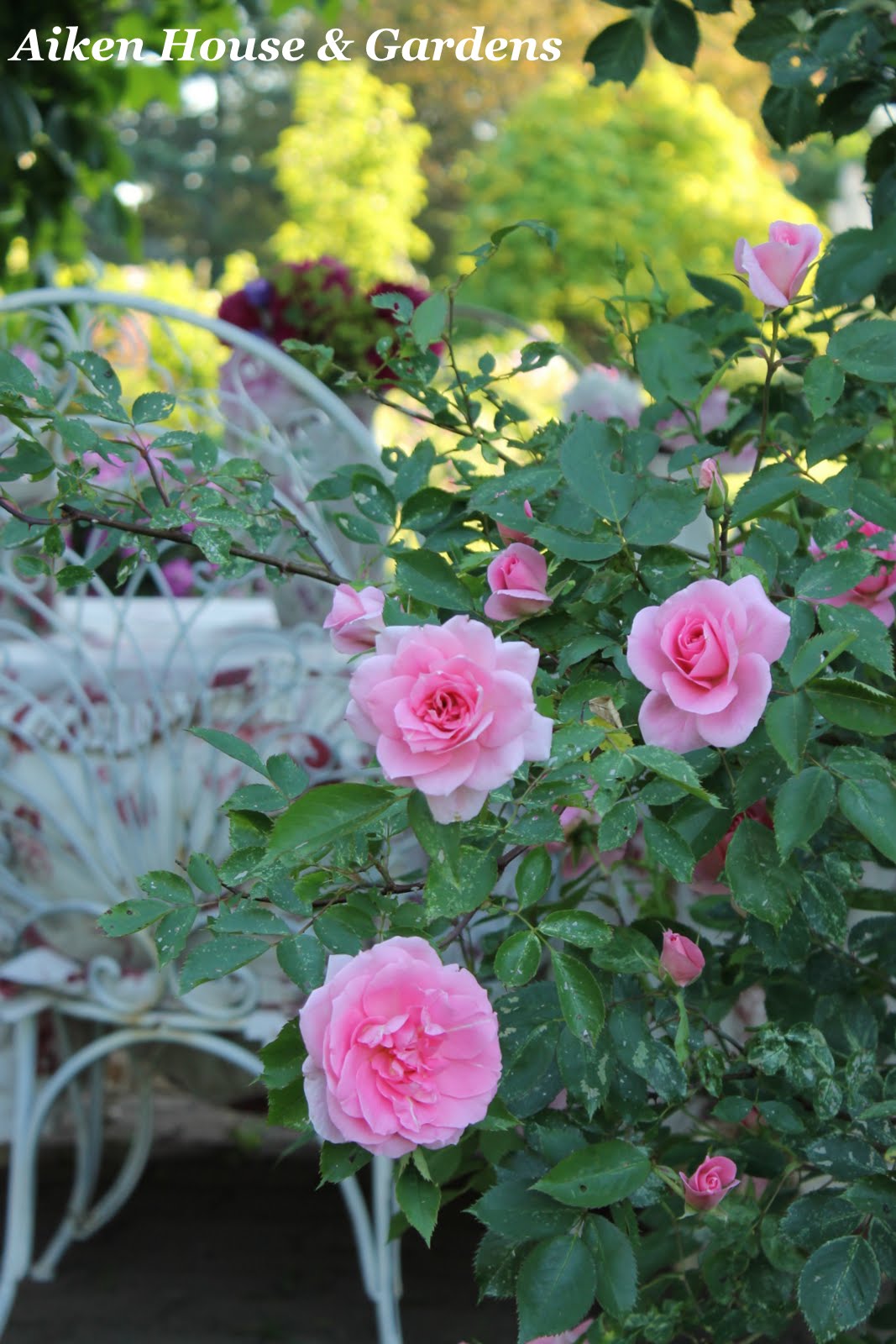 Aiken House & Gardens: Romantic Garden Style