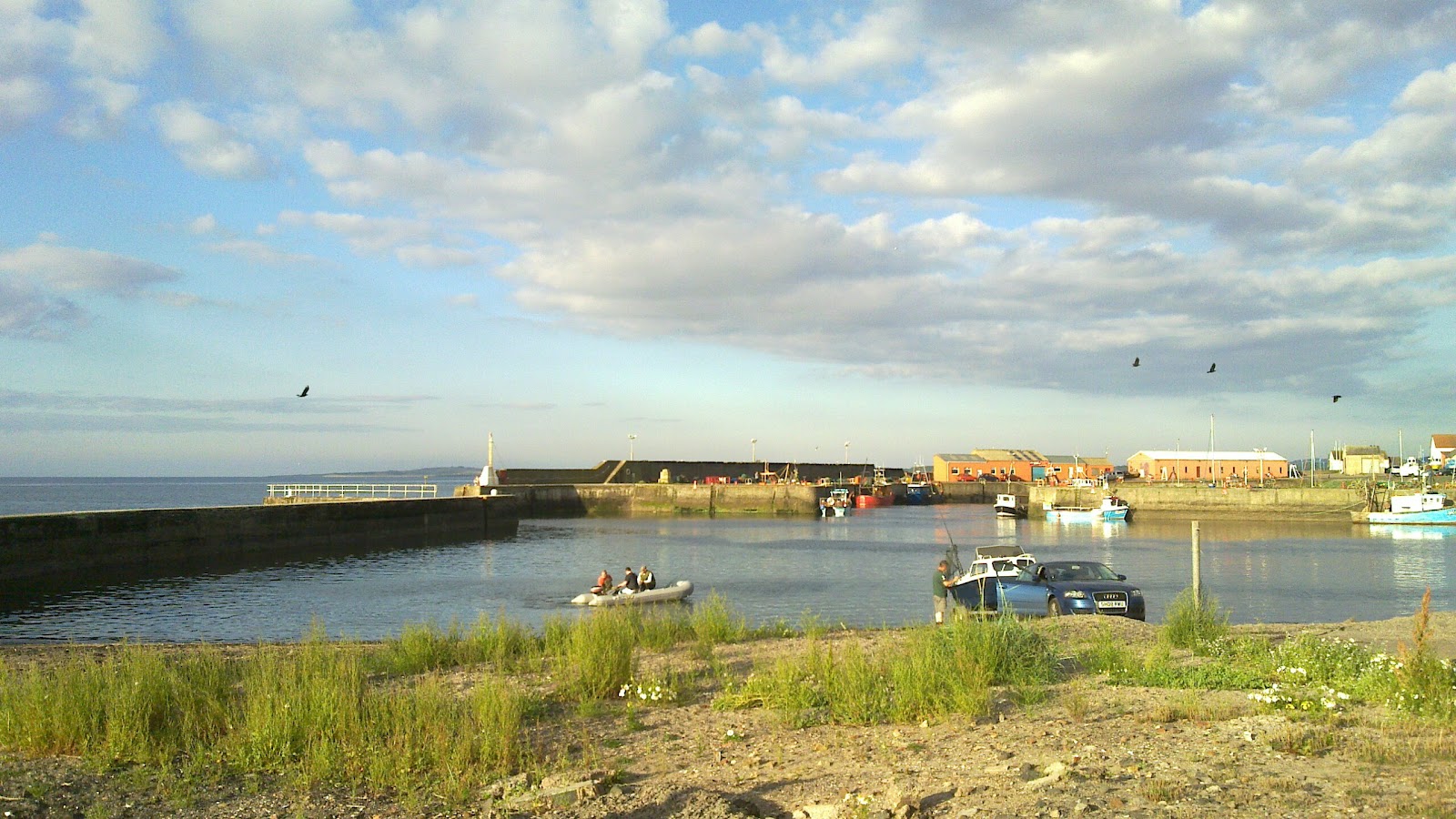 I Am Therefore I Fish: 09/08/2012 - Port Seton Harbour
