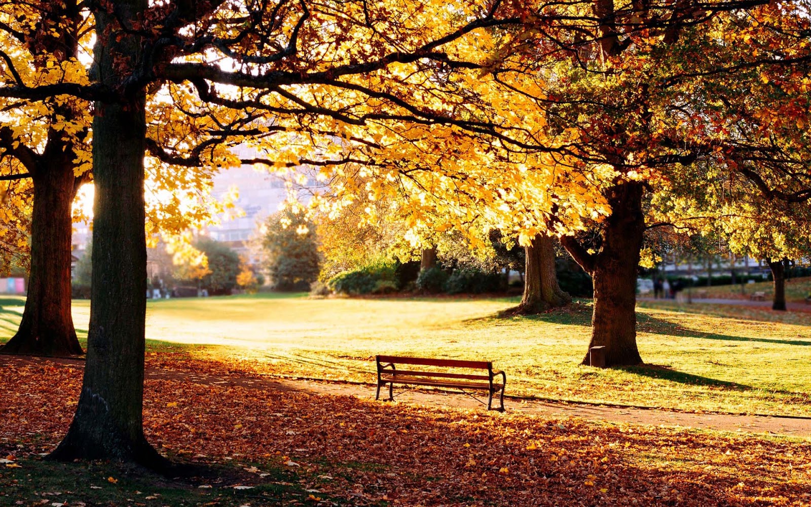 Herfst Wallpapers (herfstfoto's) | Mooie Leuke Achtergronden Voor Je ...