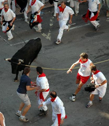 BOUS ALS NOSTRES POBLES ! ! !: Modalitats i races