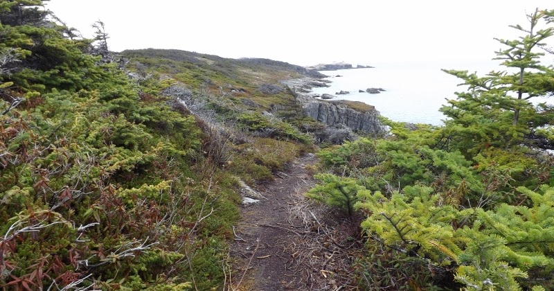 Roadside Chronicles: Life On The Road: Day 23 - Little Catalina, NL to ...