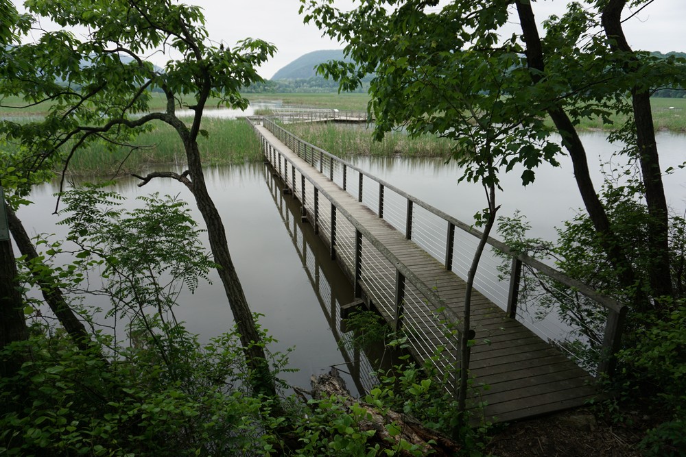 Harriman Hiker: Harriman State Park and Beyond: Constitution Marsh ...