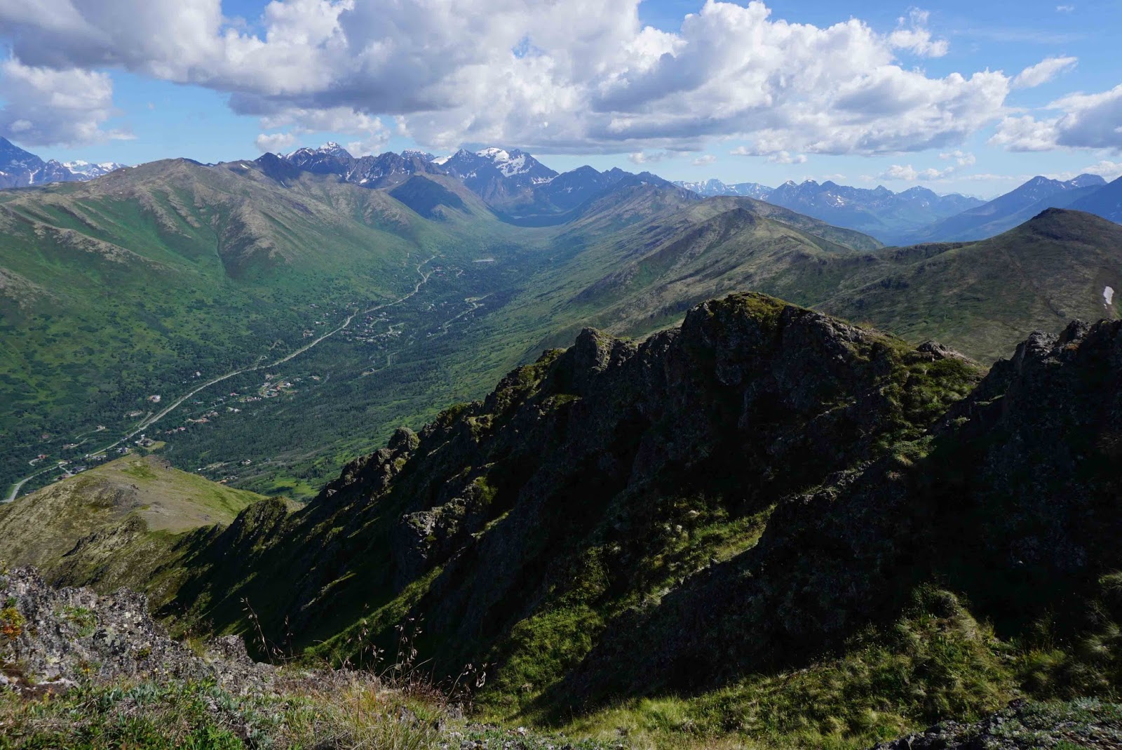 The Adventures of Asher & Journey: Mt Gordon Lyon