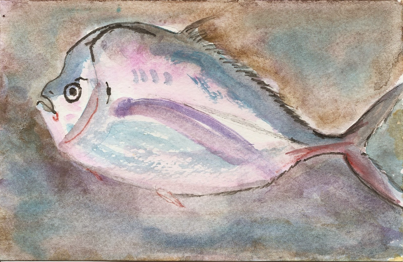 Journeys: Rainbow Runner, Moon Fish From the Gulf of Mexico